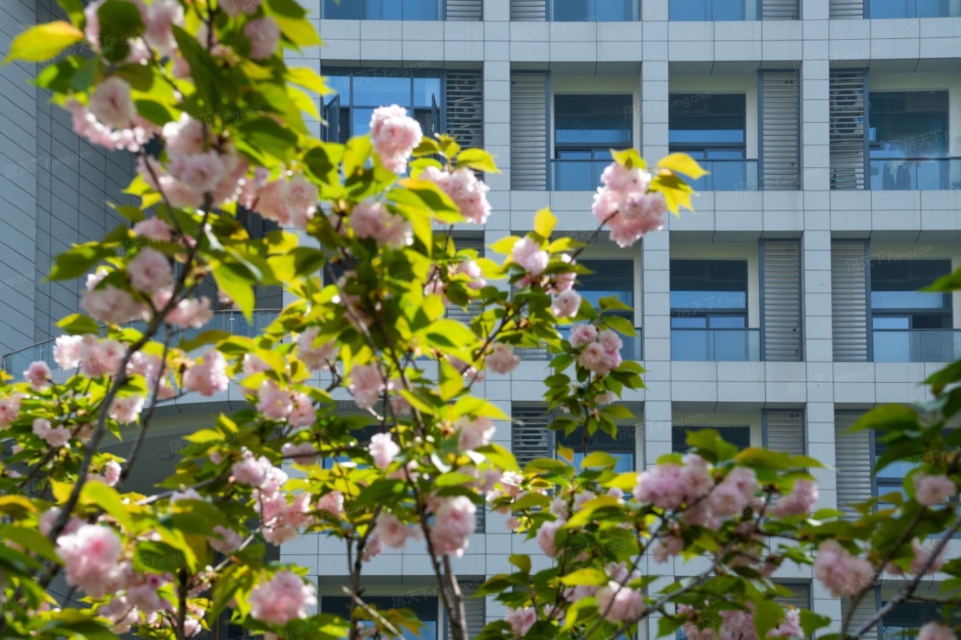 买房总摸不清底细？来看看我的实拍图吧！旺德府·万象时代靠谱！ -旺德府·万象时代 - 长沙房天下